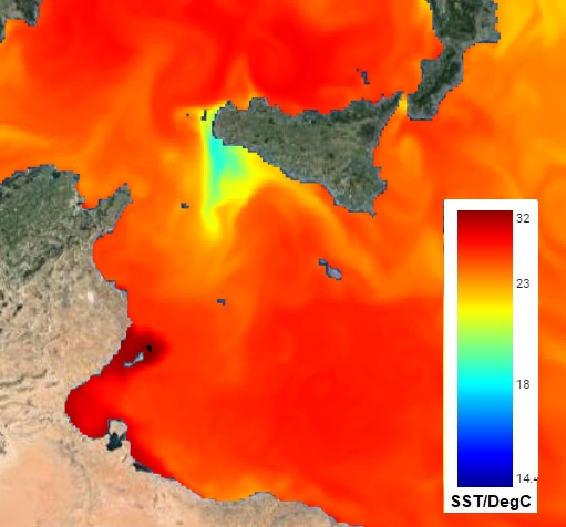 MCAST monitors the marine heat wave event in the Maltese coastal waters ...