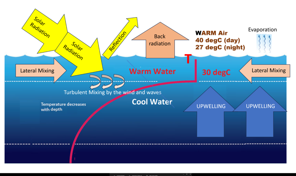 MCAST Researchers Studying the rising sea surface temperature – MCAST